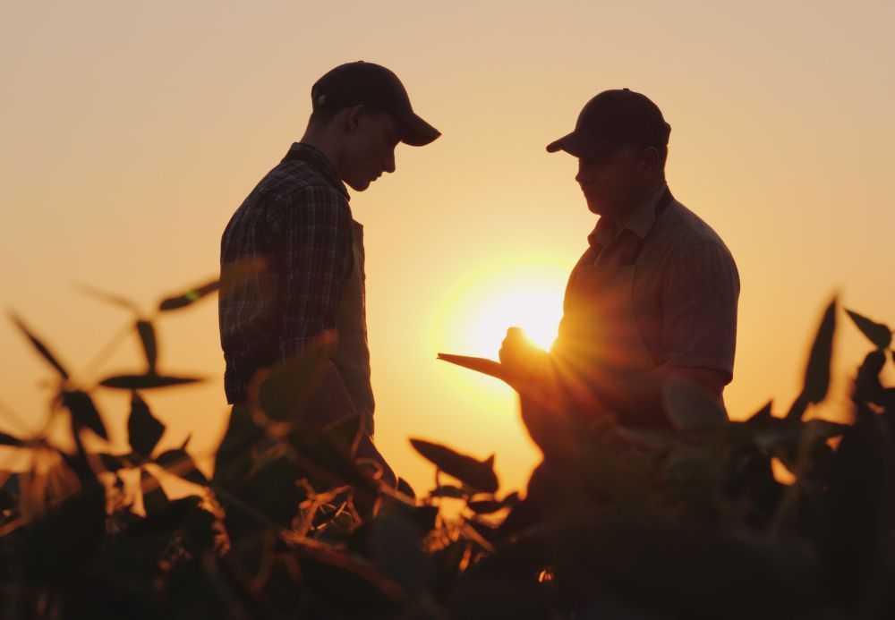 Producer Marketing Programs - John Stewart and Associates